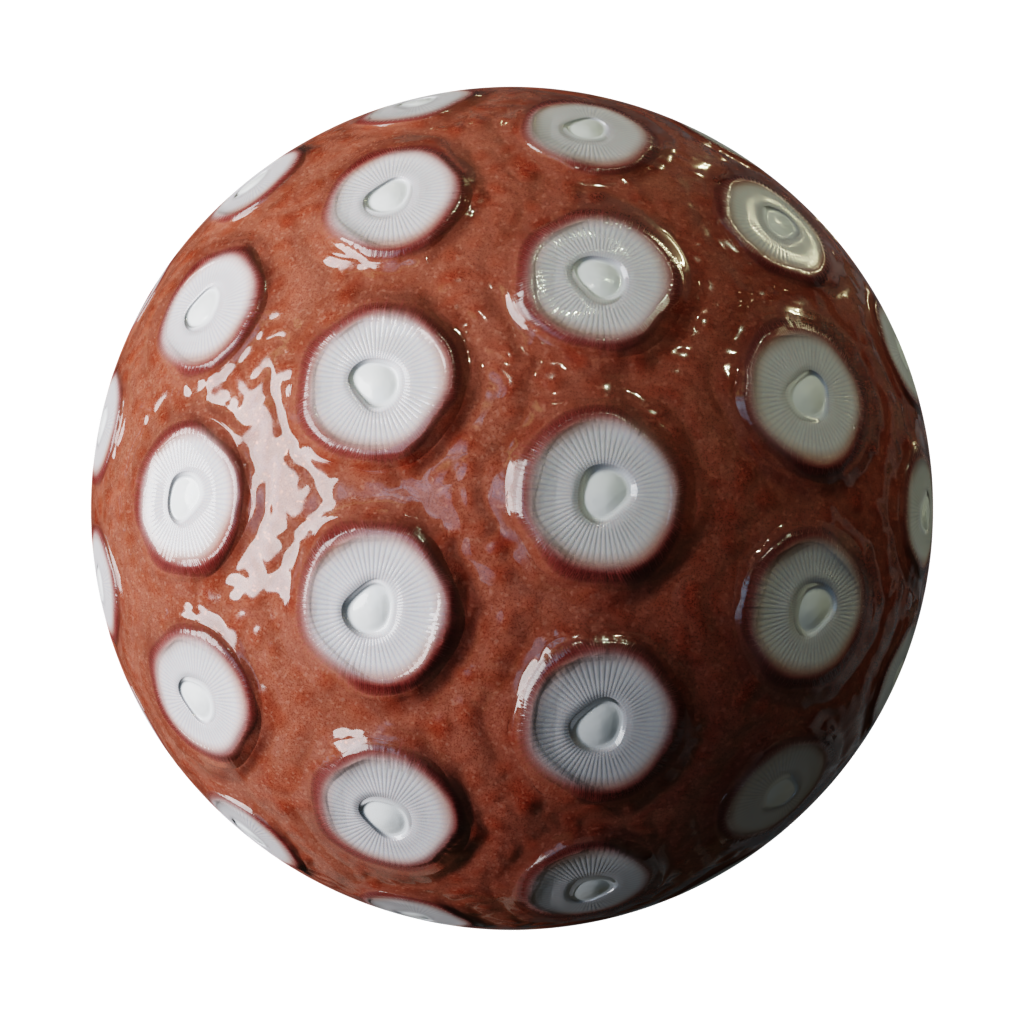 Octopus | FREE animal materials | BlenderKit