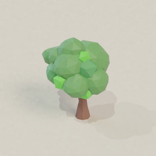 Tree | Trees models | BlenderKit