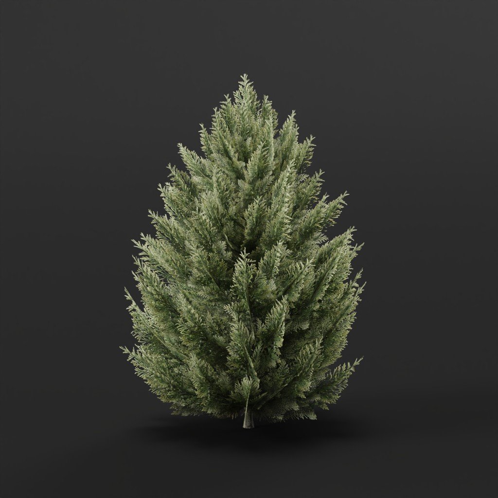 Red Cedar Bush Large | Outdoor Plants models | BlenderKit