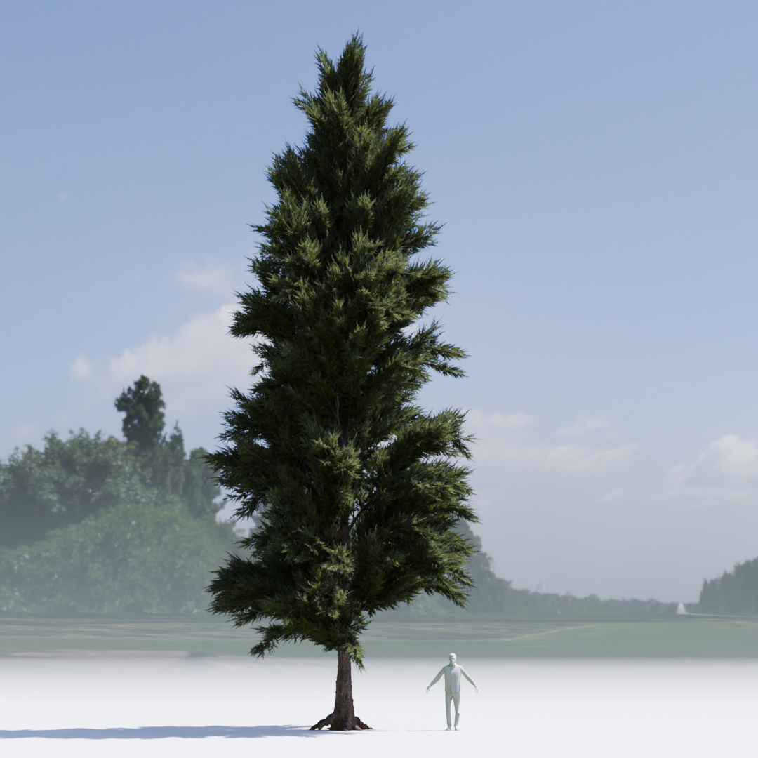 Pine Tree Low Poly variation | Trees models | BlenderKit