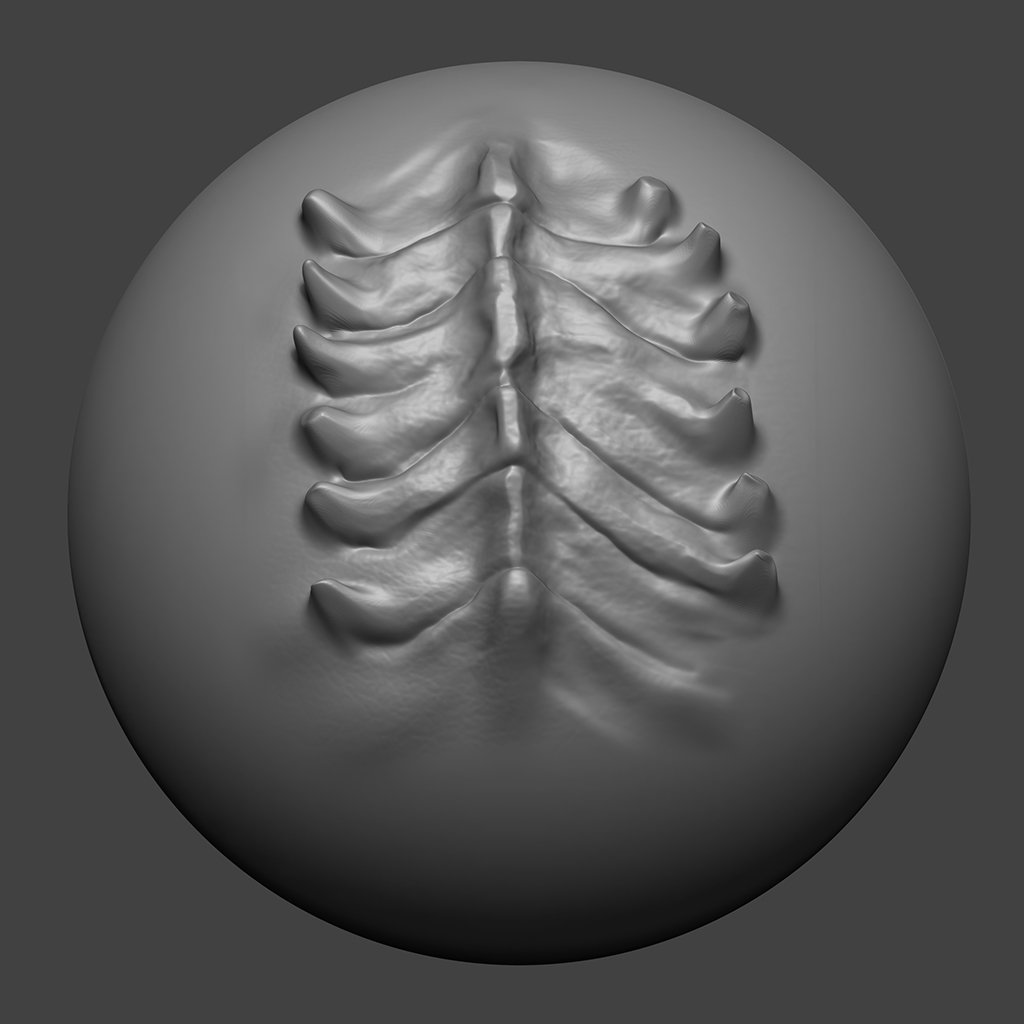 NS BoneSpike | Spikes brushes | BlenderKit