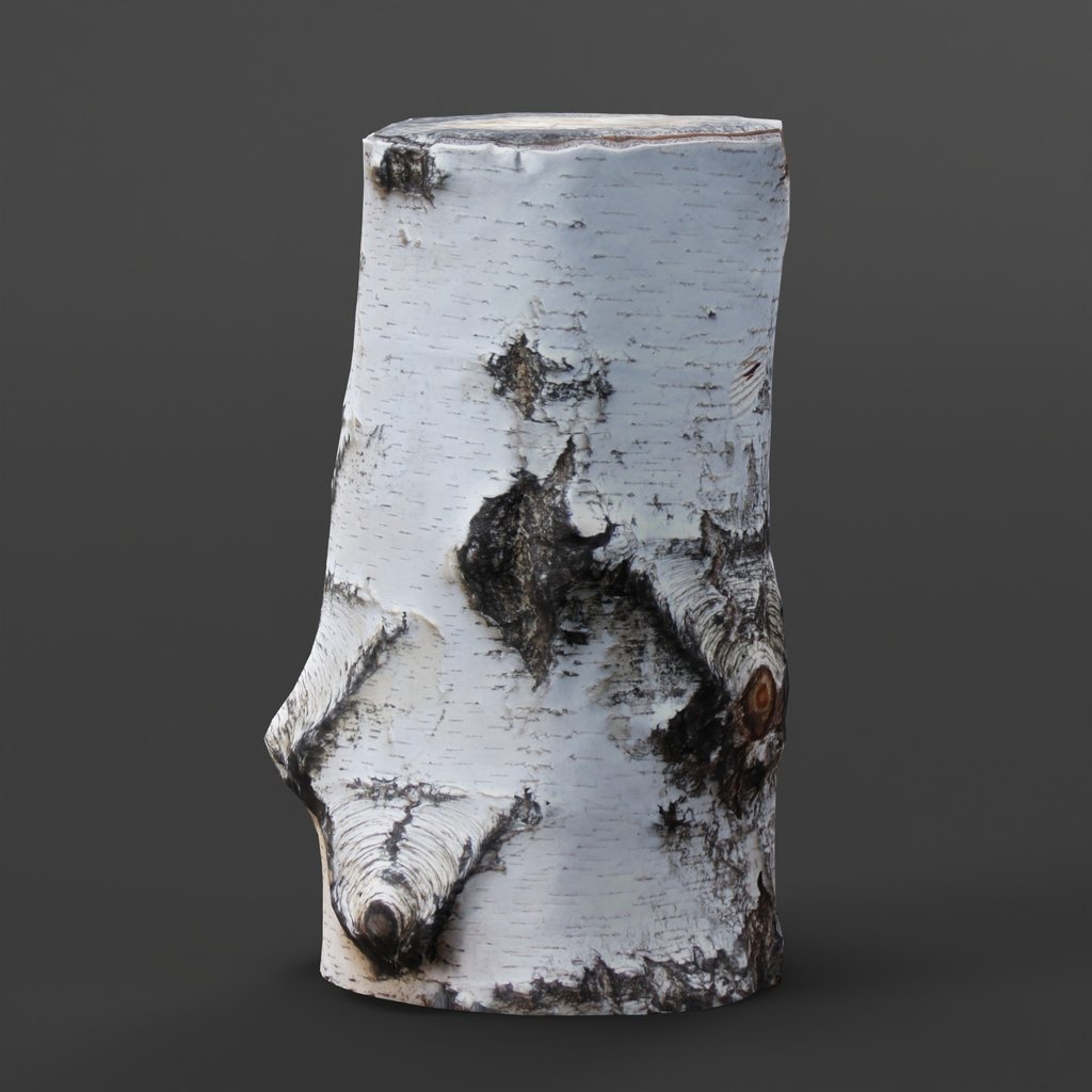 Wood trunk 01 | Trees models | BlenderKit