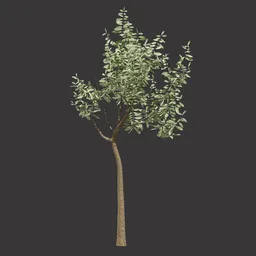 Twisted Tree | Trees models | BlenderKit