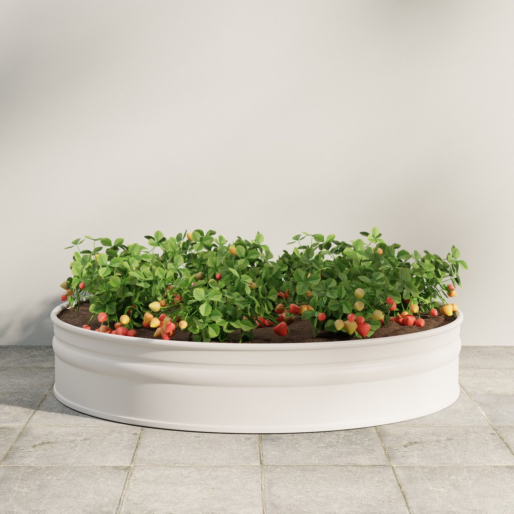 Strawberry Garden Planter | Outdoor Plants models | BlenderKit