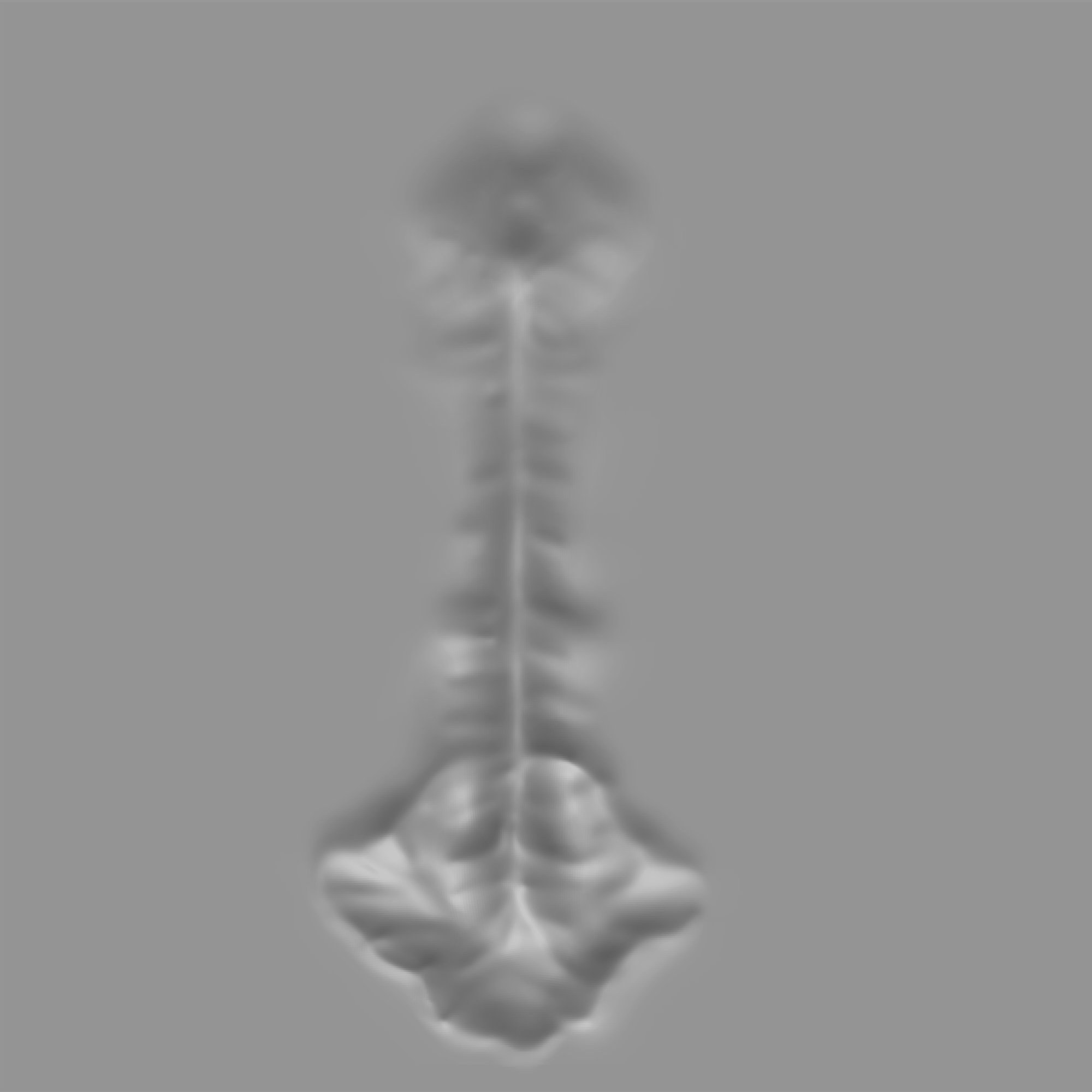 ER Muscle brush 75 | Human Muscle brushes | BlenderKit