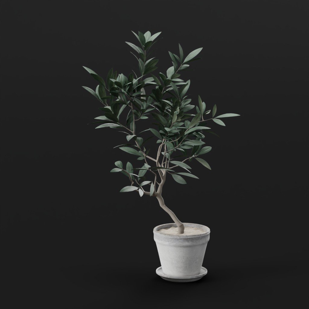 Olive Tree Potted Plant | Outdoor Plants models | BlenderKit