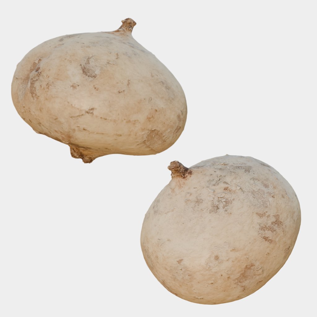 Jicama/turnip | FREE Fruit & Vegetables models | BlenderKit