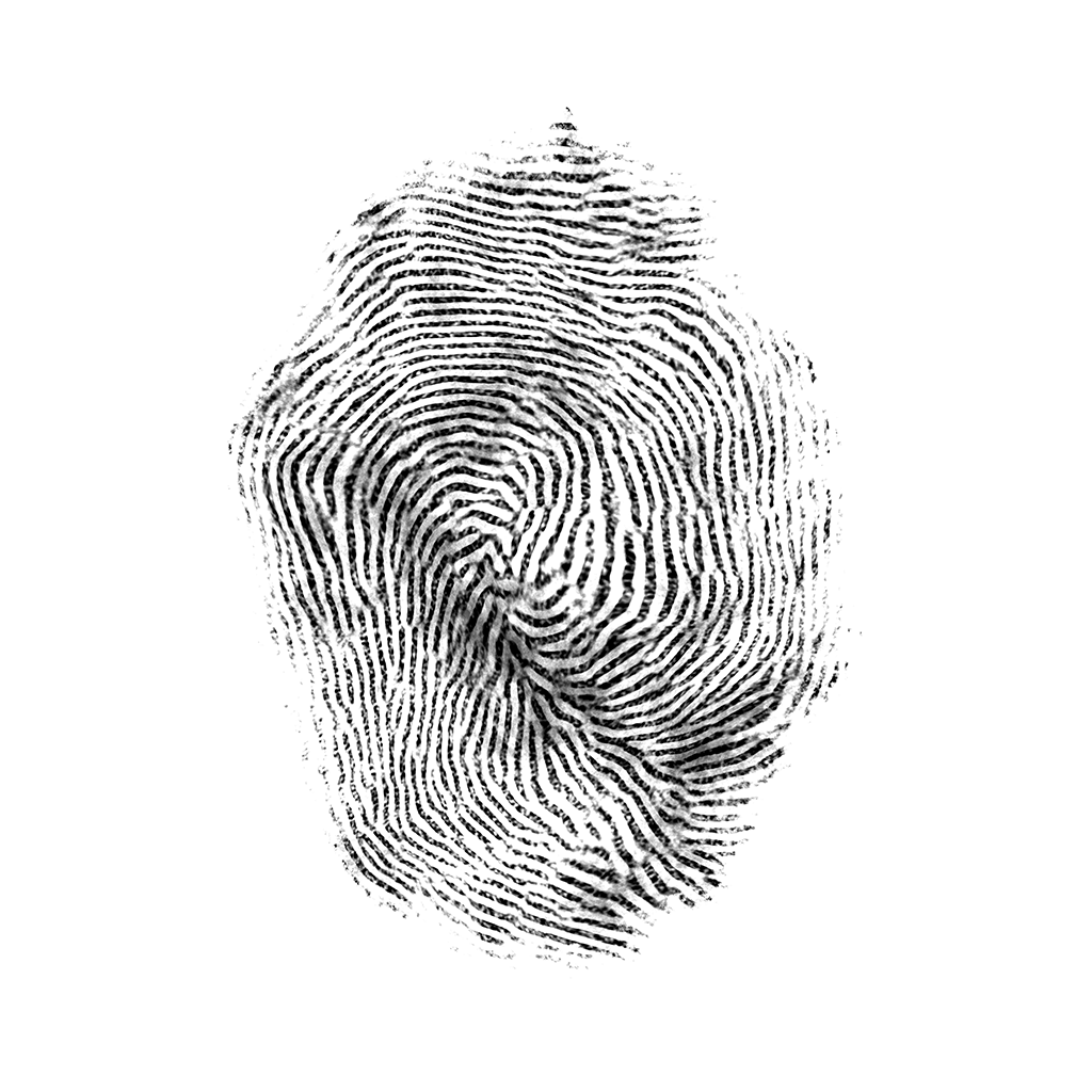 Finger Print Brush - 02 | FREE human brushes | BlenderKit