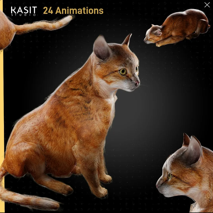 Orange cat | Mammals models | BlenderKit