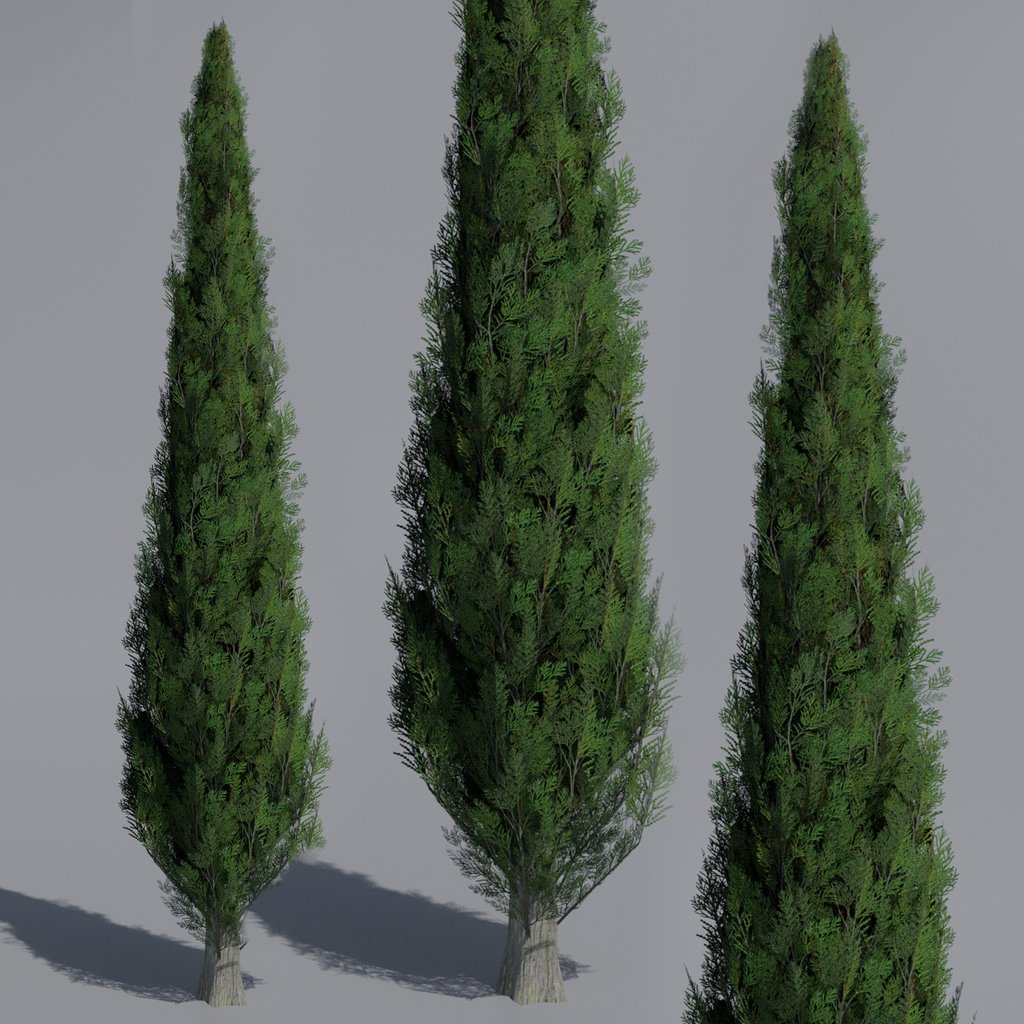 Tree Cypress MED Trim a1 | Trees models | BlenderKit