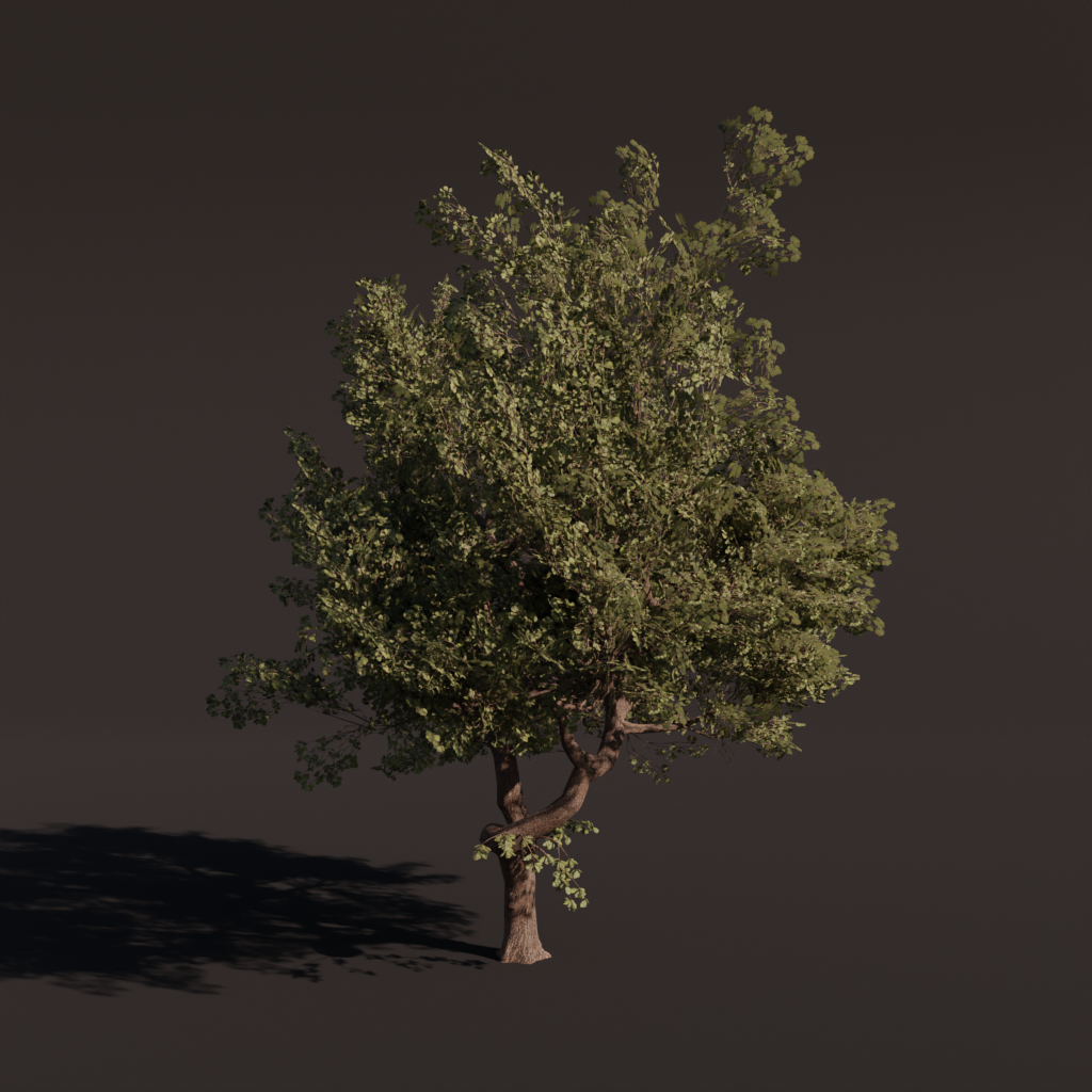 Cut log 04 - remeshed photoscan | FREE 3D Tree models | BlenderKit