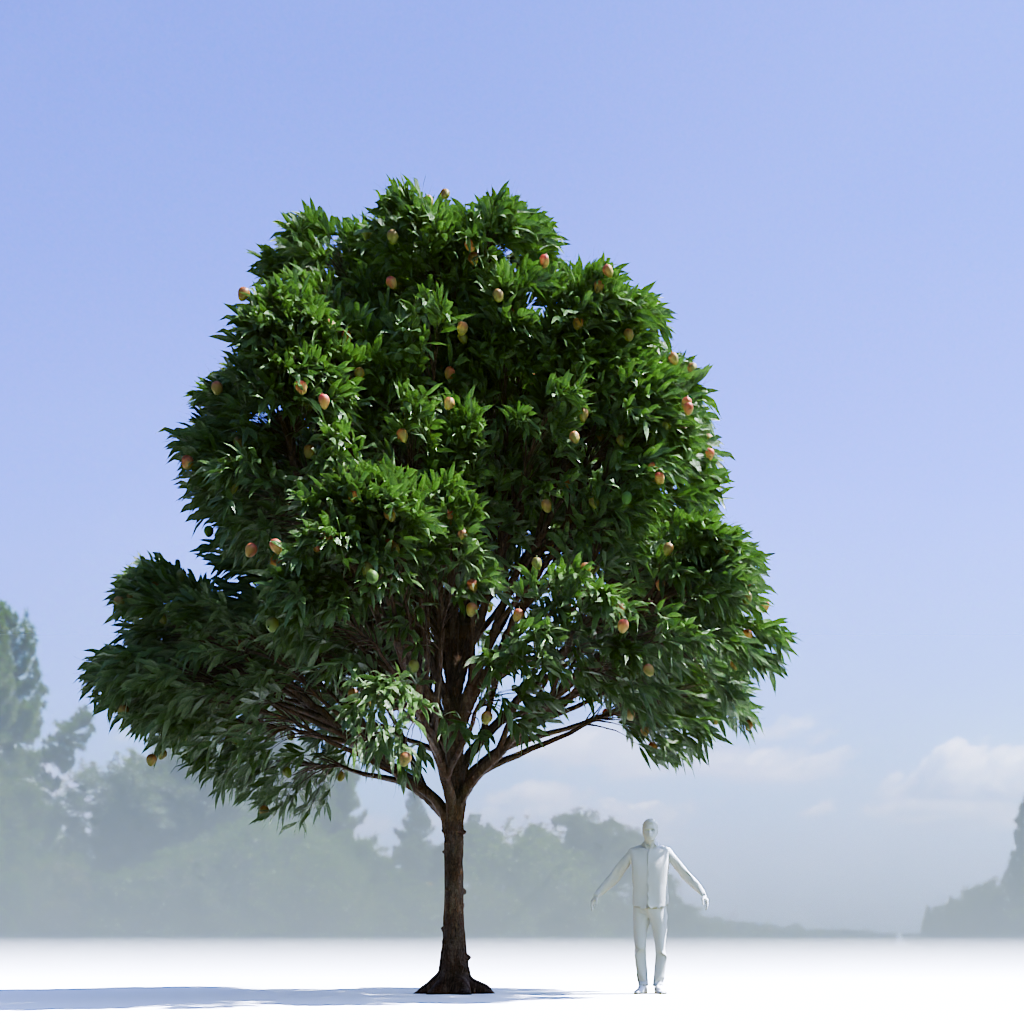 BlenderKit | Download the Mango Tree model