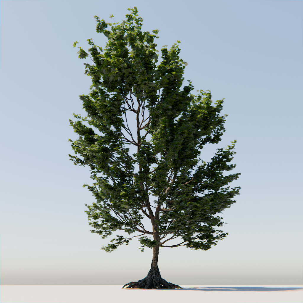 Tree 12 | Trees models | BlenderKit