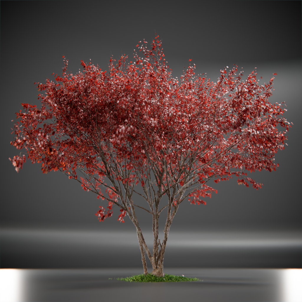 Tree Ruby Slippers Animated | Trees models | BlenderKit