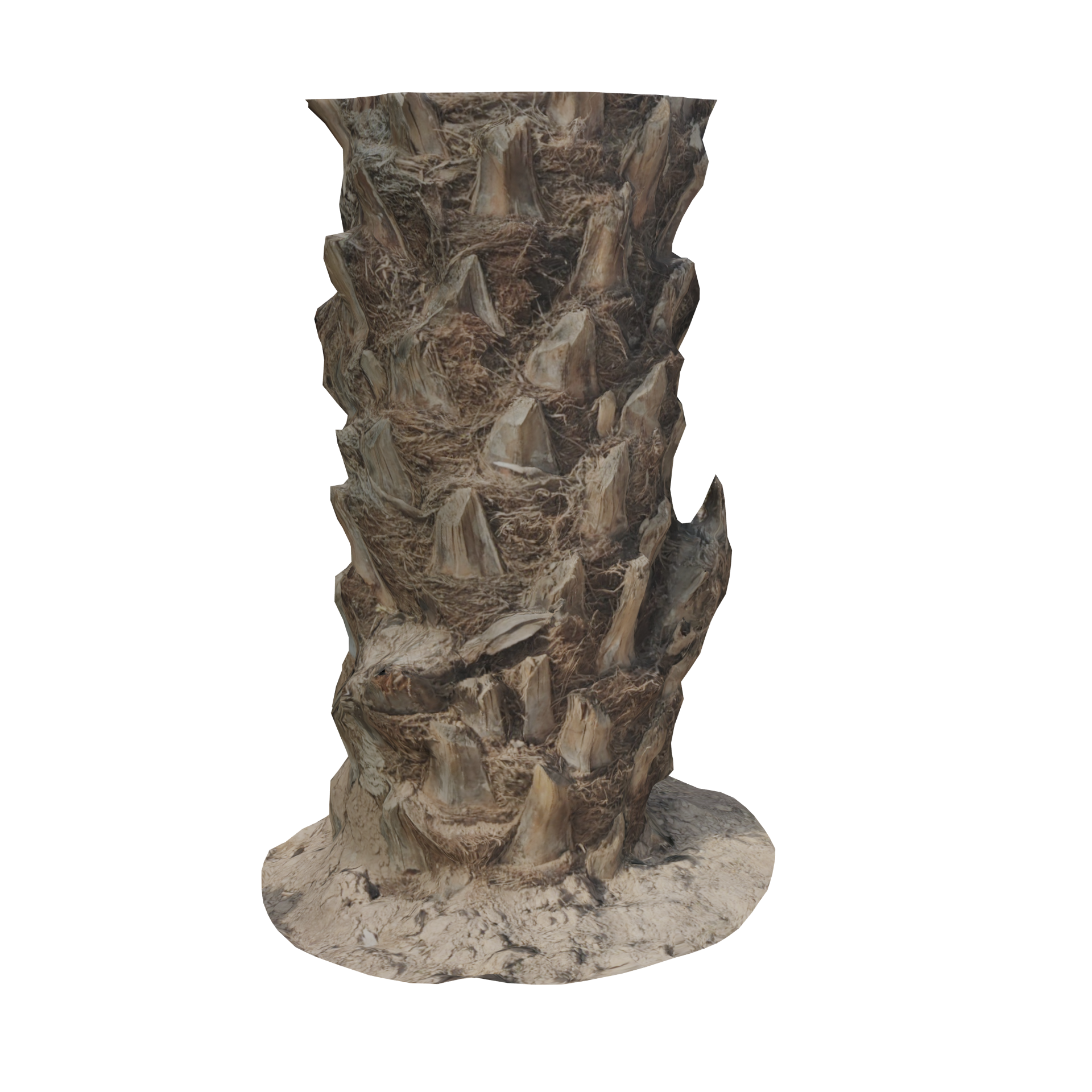 Palm Tree | FREE Trees models | BlenderKit