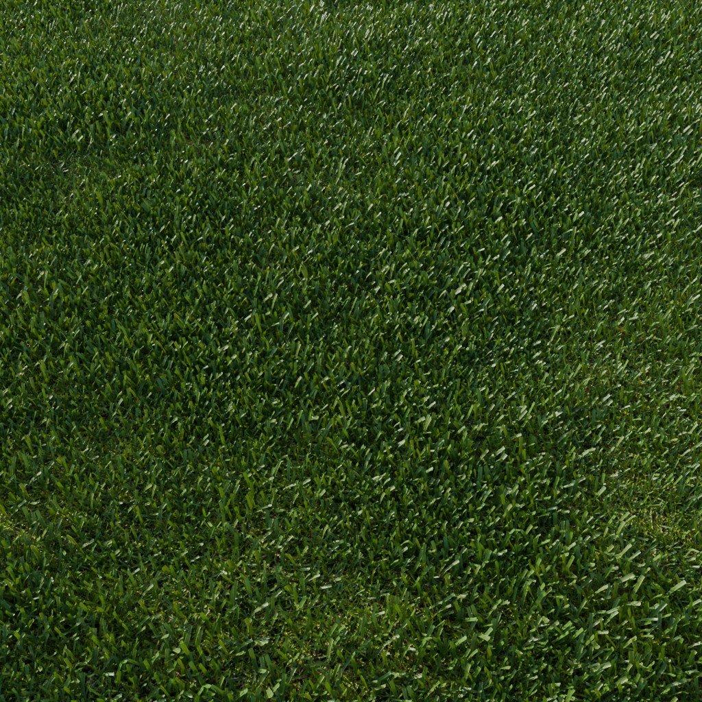Garden Lawn Grass Trimmed | Grass models | BlenderKit