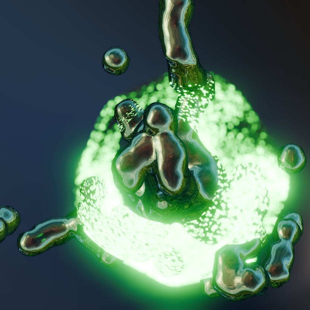 Forest trees Light Gobos | FREE Motion Design models | BlenderKit