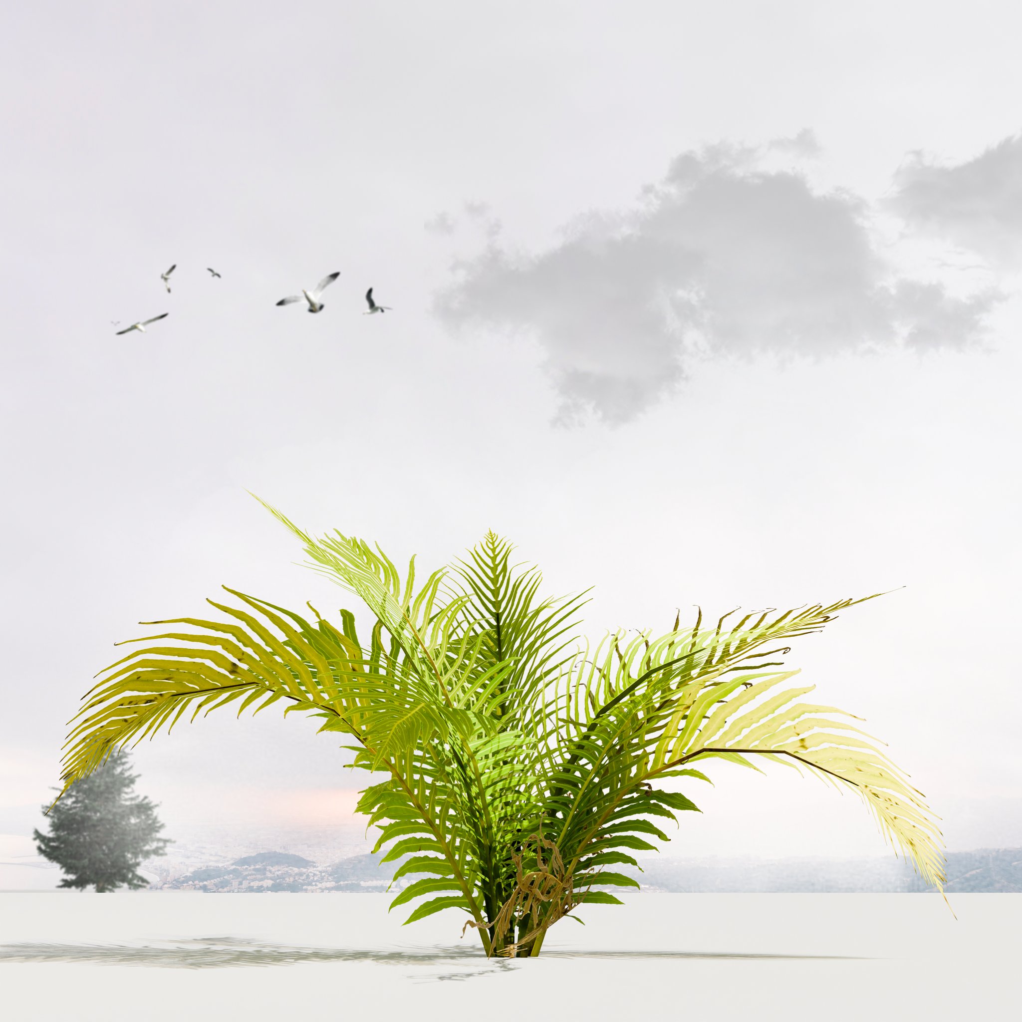 Realistic Fern Athyrium | Outdoor Plants models | BlenderKit