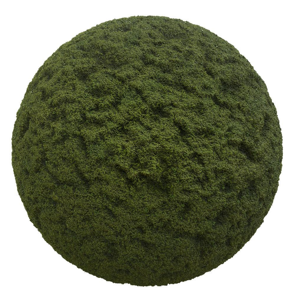 Moss | FREE organic materials | BlenderKit