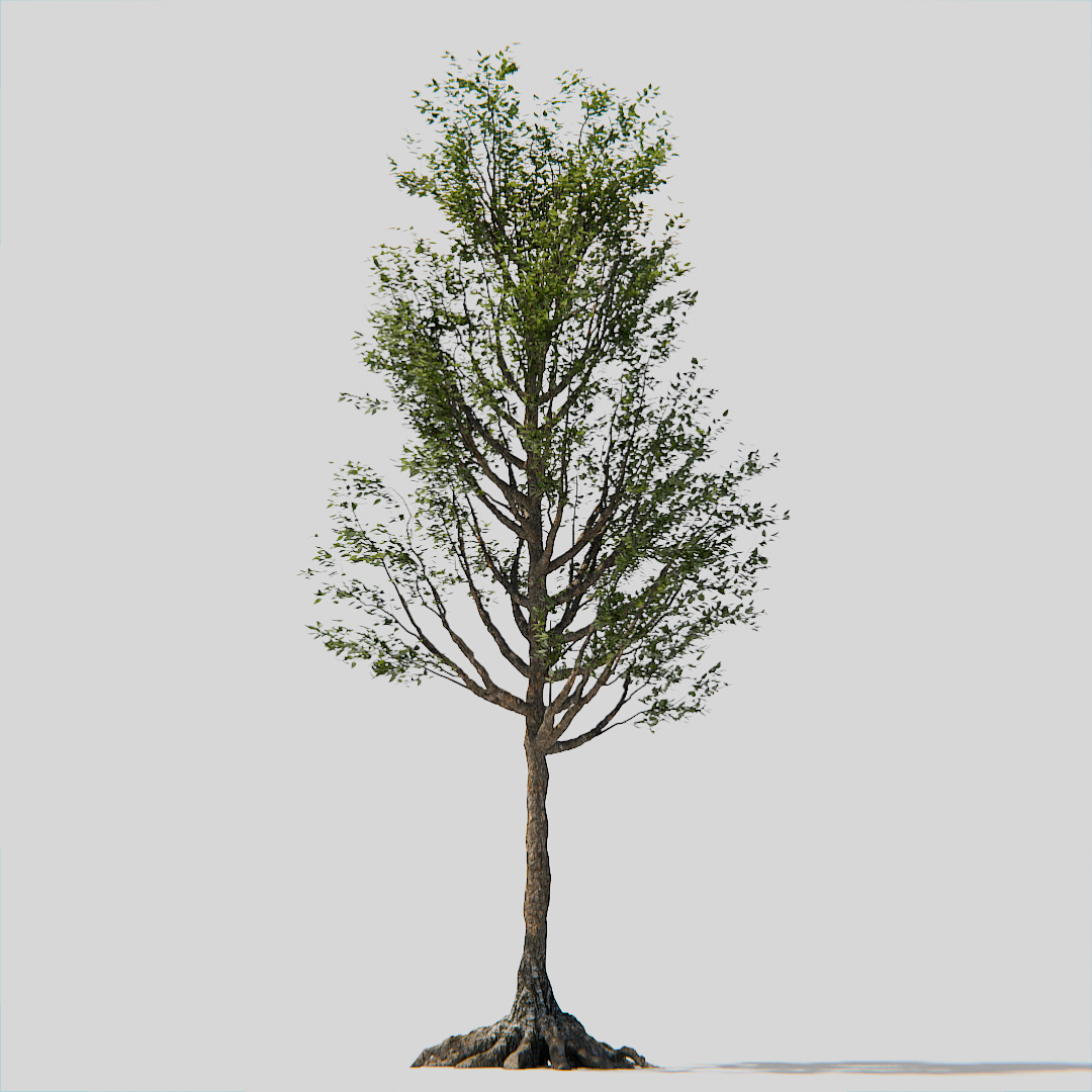 Tree 02 | Trees models | BlenderKit