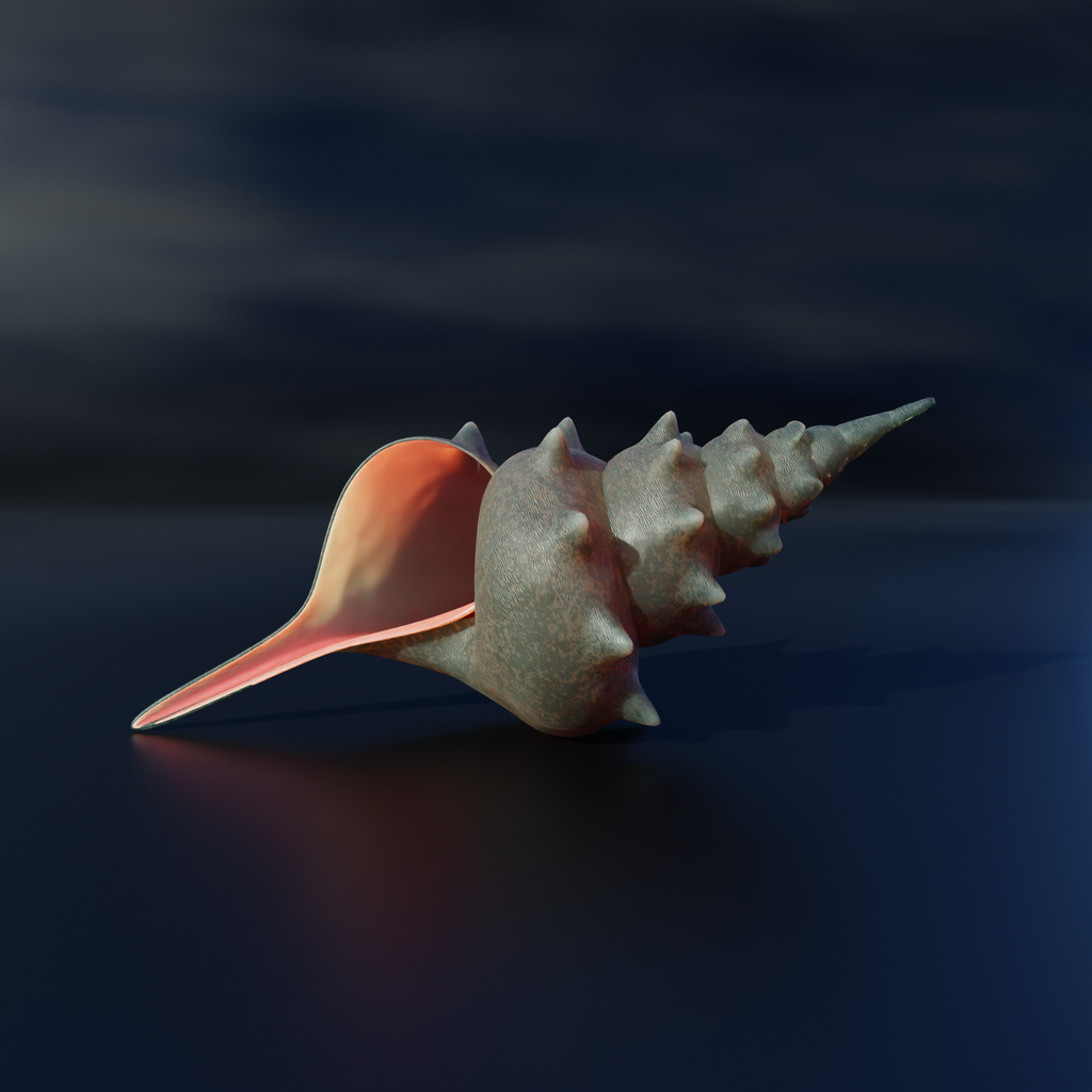 Snail Seashell | Animals models | BlenderKit