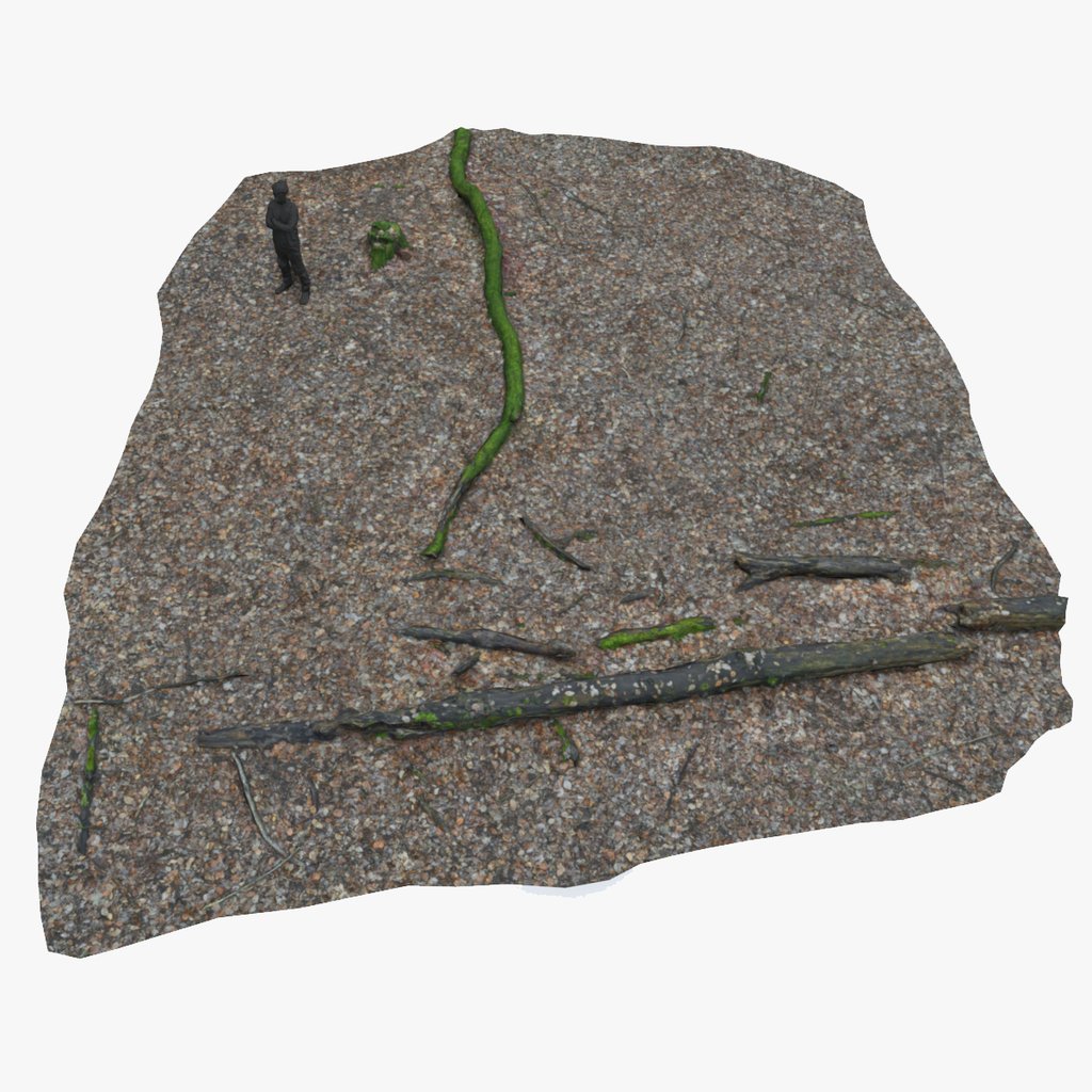 Forest Ground Leaves | Terrains models | BlenderKit