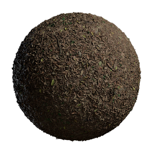 Deciduous Forest Ground | FREE ground materials | BlenderKit
