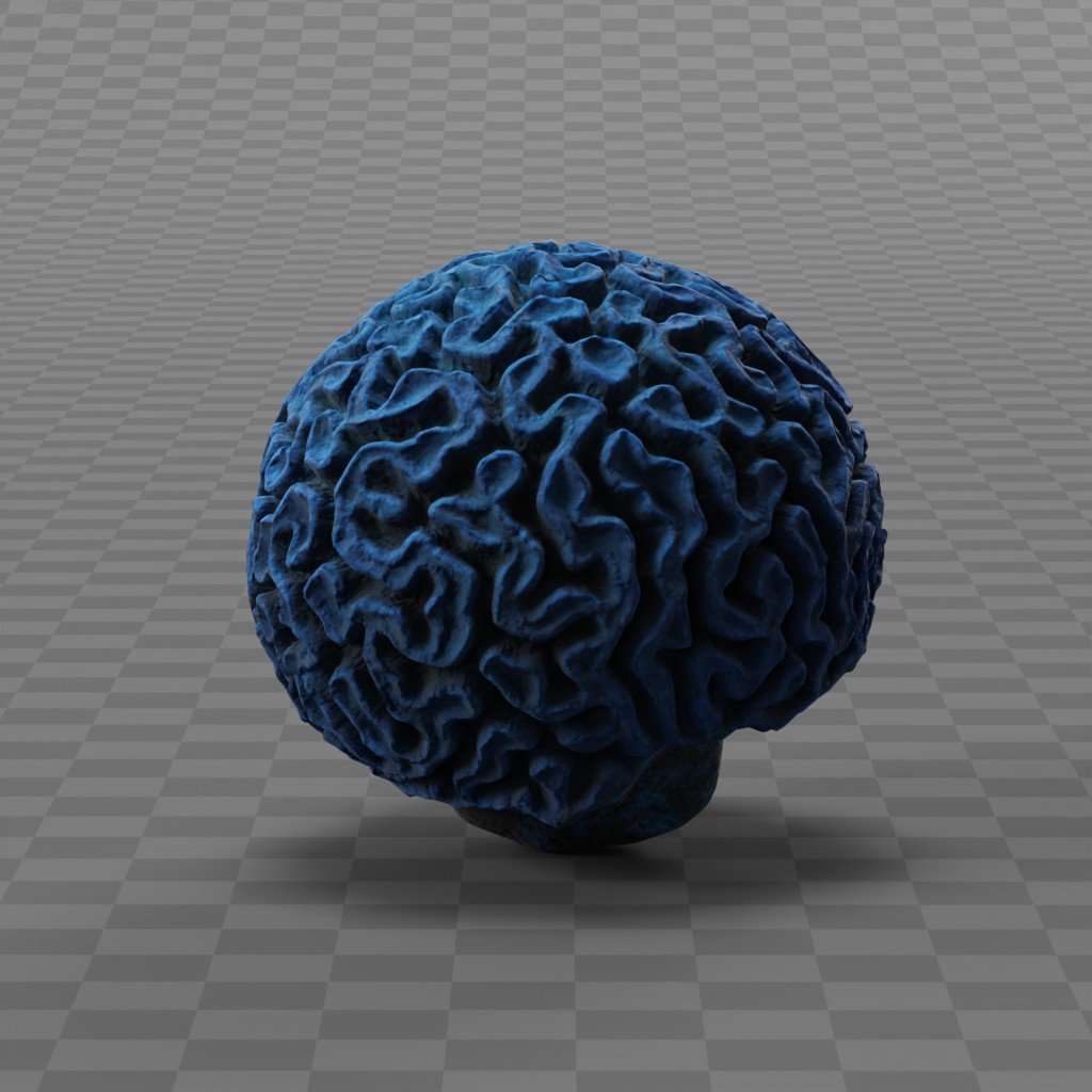 Blue Brain Coral | Nature models | BlenderKit