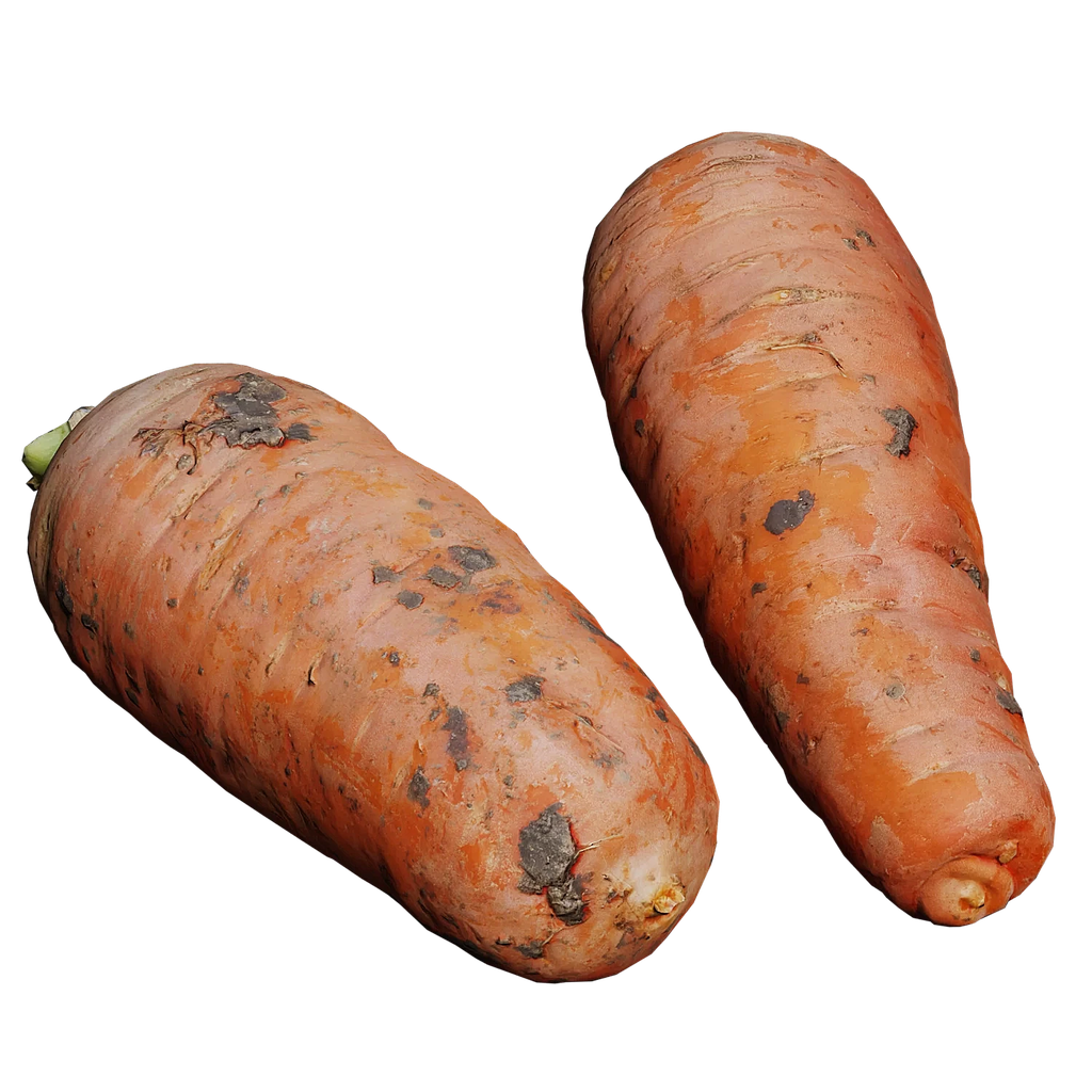 Scan Carrot | FREE Fruit & Vegetables models | BlenderKit