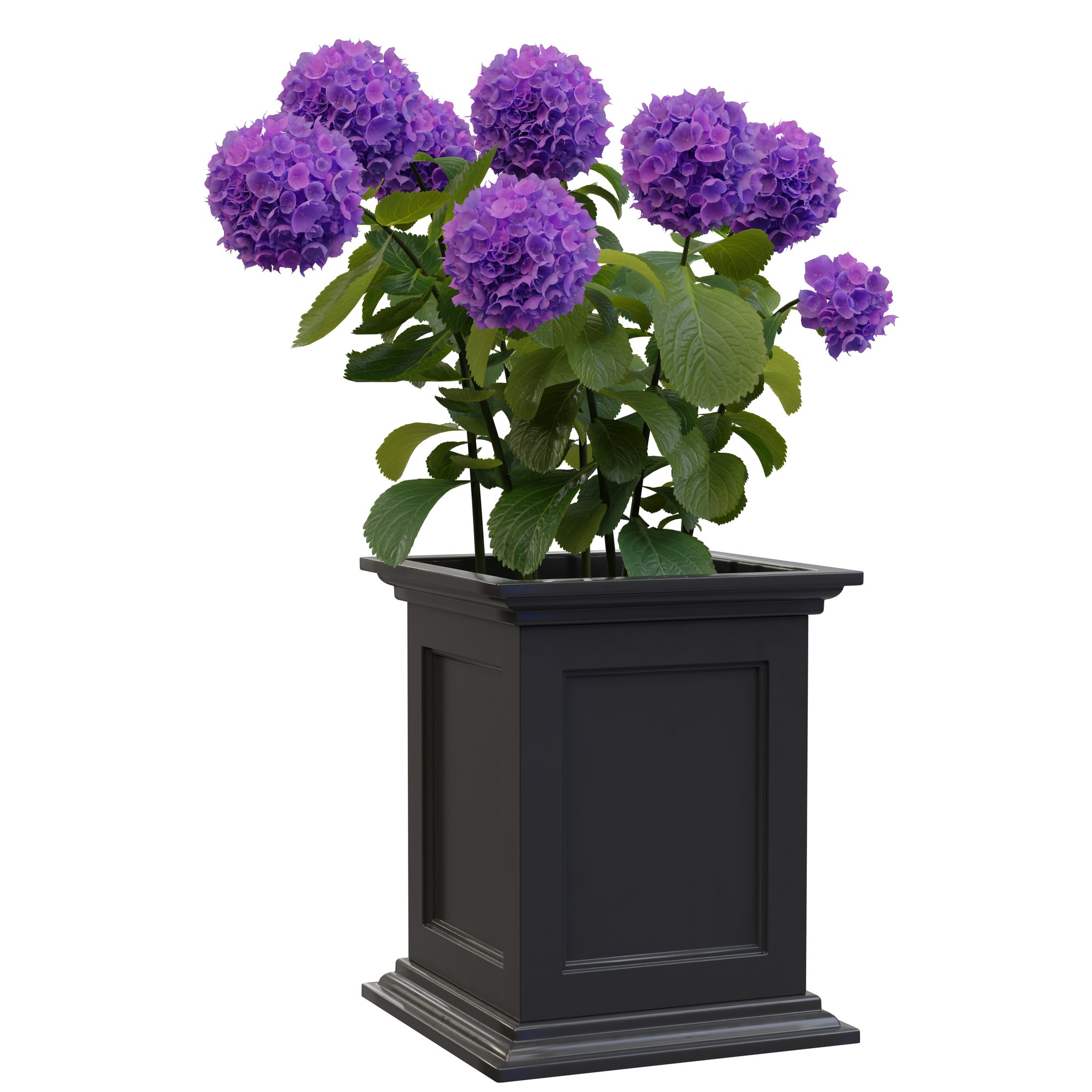 Potted Hydrangea in Urn Planter | Outdoor Plants models | BlenderKit