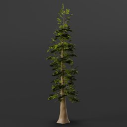 Stylised Tree | FREE Trees models | BlenderKit