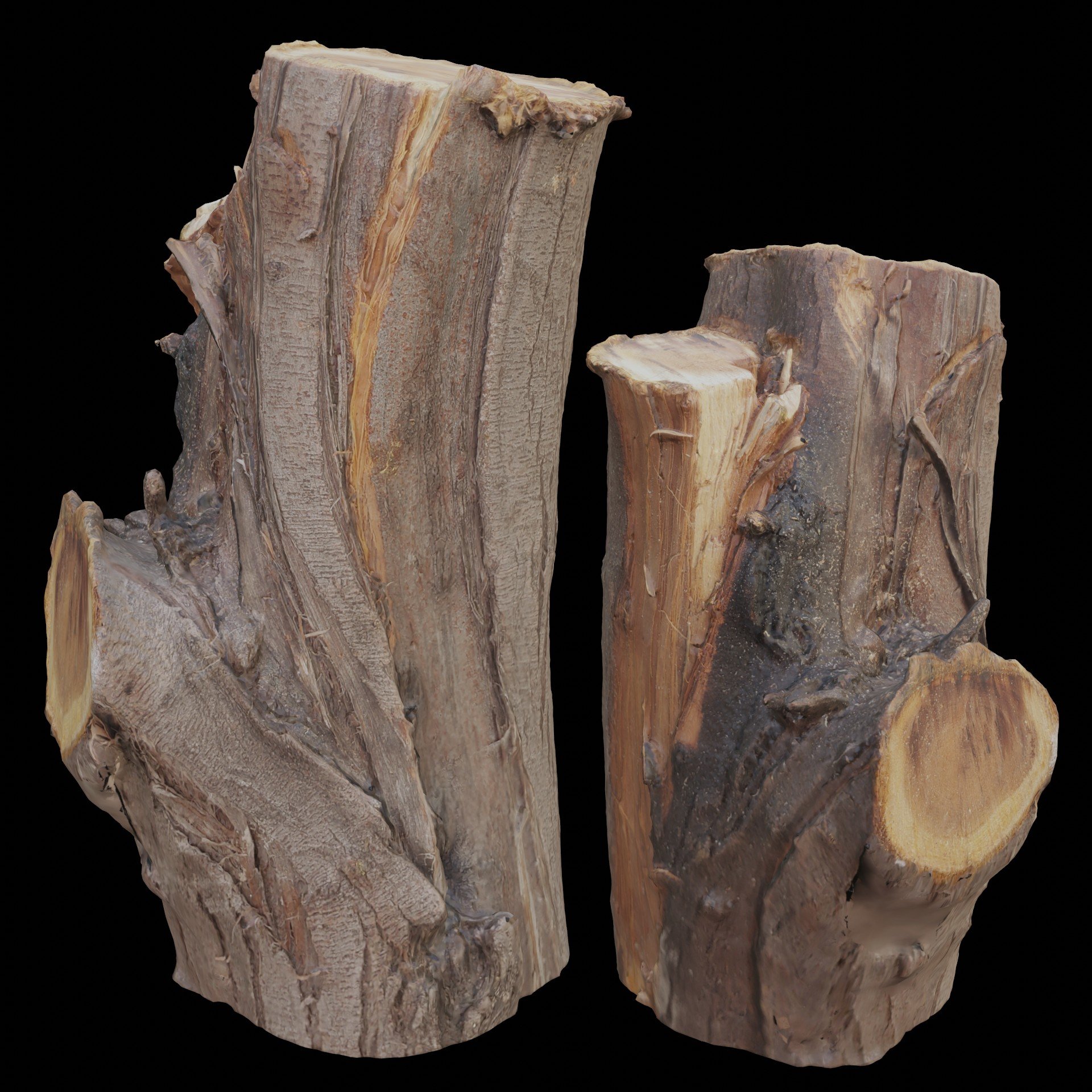 Stump | FREE Trees models | BlenderKit
