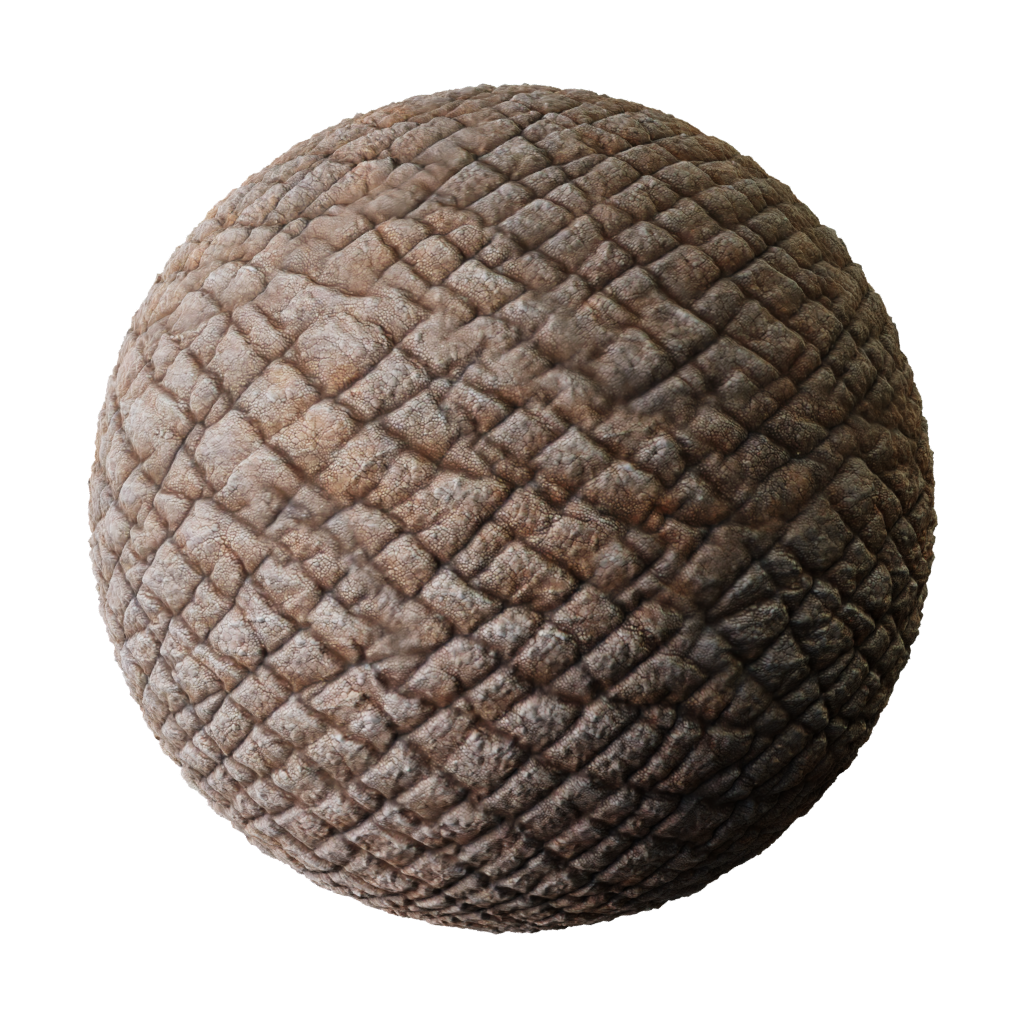 Elephant Skin | FREE animal materials | BlenderKit