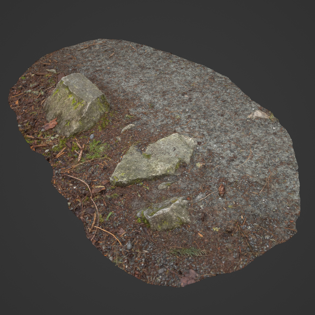 Ground with Rocks in Forest | FREE Environment Elements models | BlenderKit