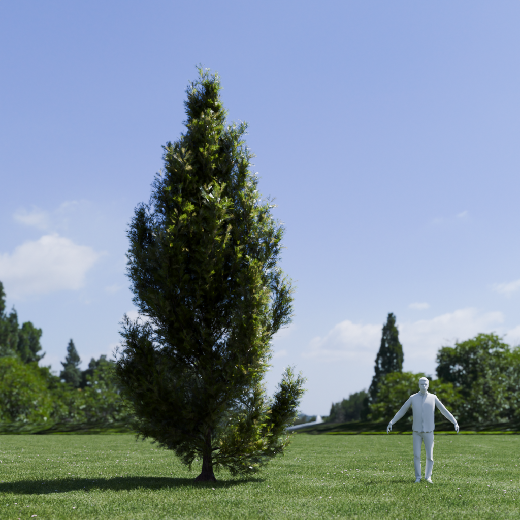 Pine tree - Pinus Flexilis Animated | Trees models | BlenderKit