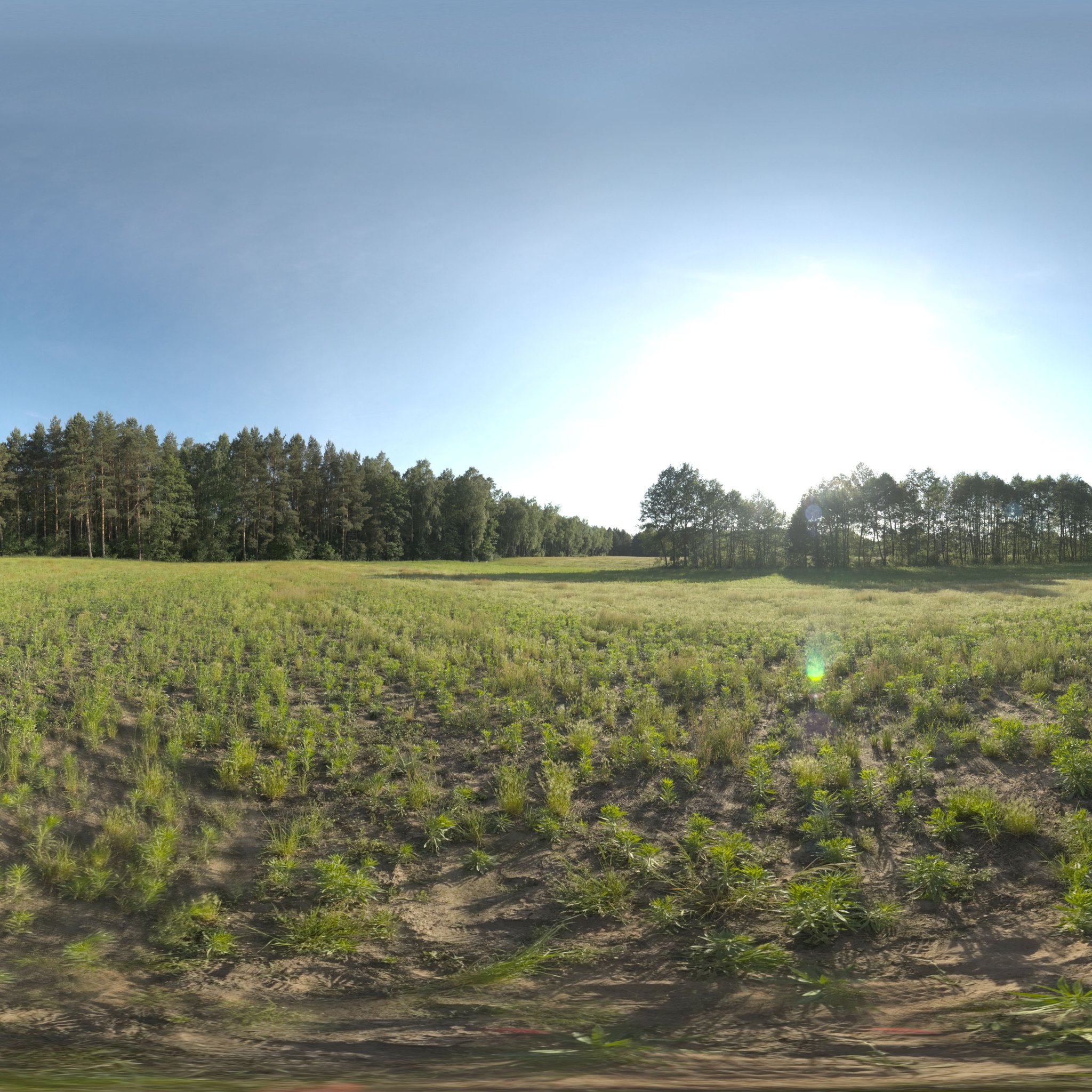 Field in forest 2, 17k, unclipped | FREE 3D Nature HDRs | BlenderKit