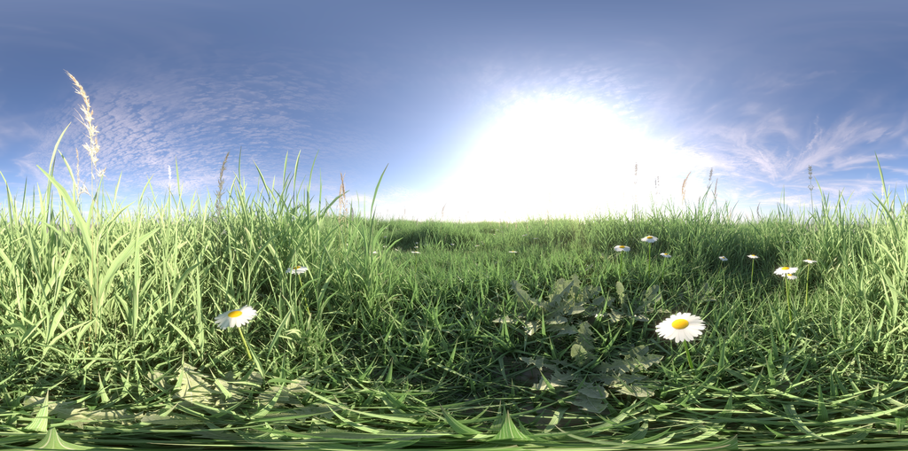 Morning light grass 16k | FREE Nature HDRis | BlenderKit