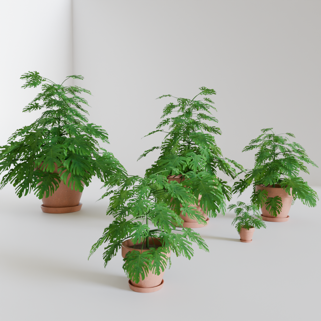 Monstera - Various shape with GN | Indoor Plants models | BlenderKit