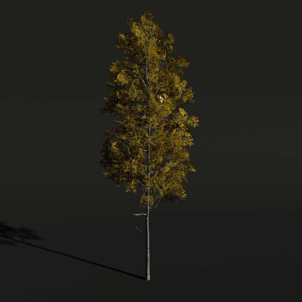 Tree QuakingAspen a1 | Trees models | BlenderKit