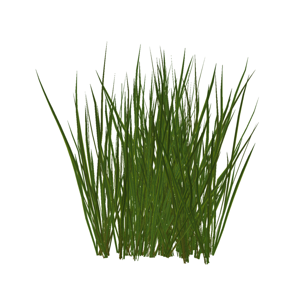 Grass Alpha Plane 1 | Grass models | BlenderKit