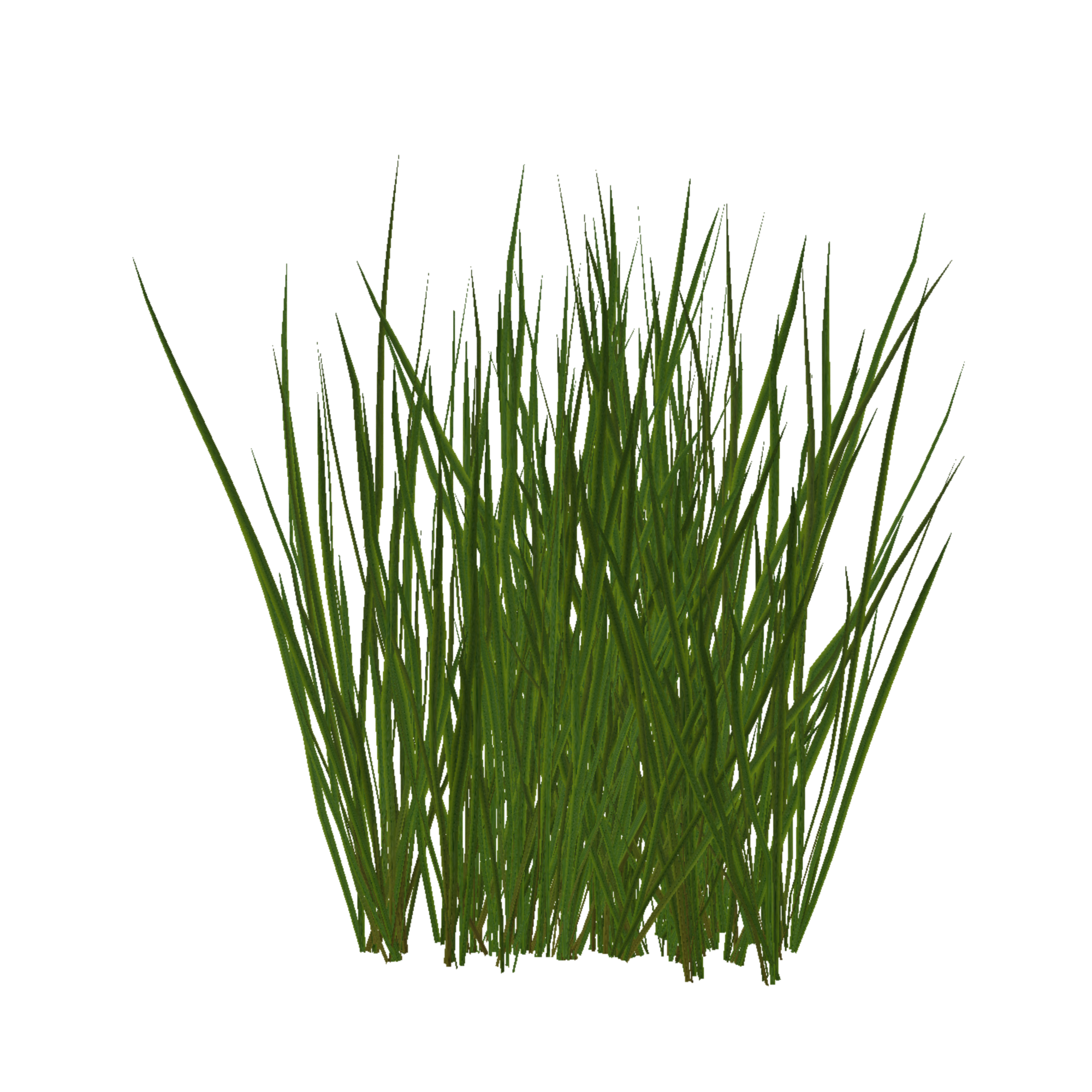 Grass Alpha Plane 1 | Grass models | BlenderKit
