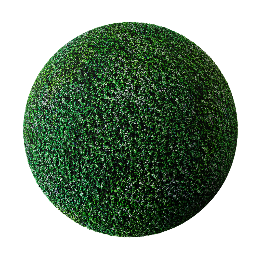 Stylized Grass | FREE 3D grass materials | BlenderKit
