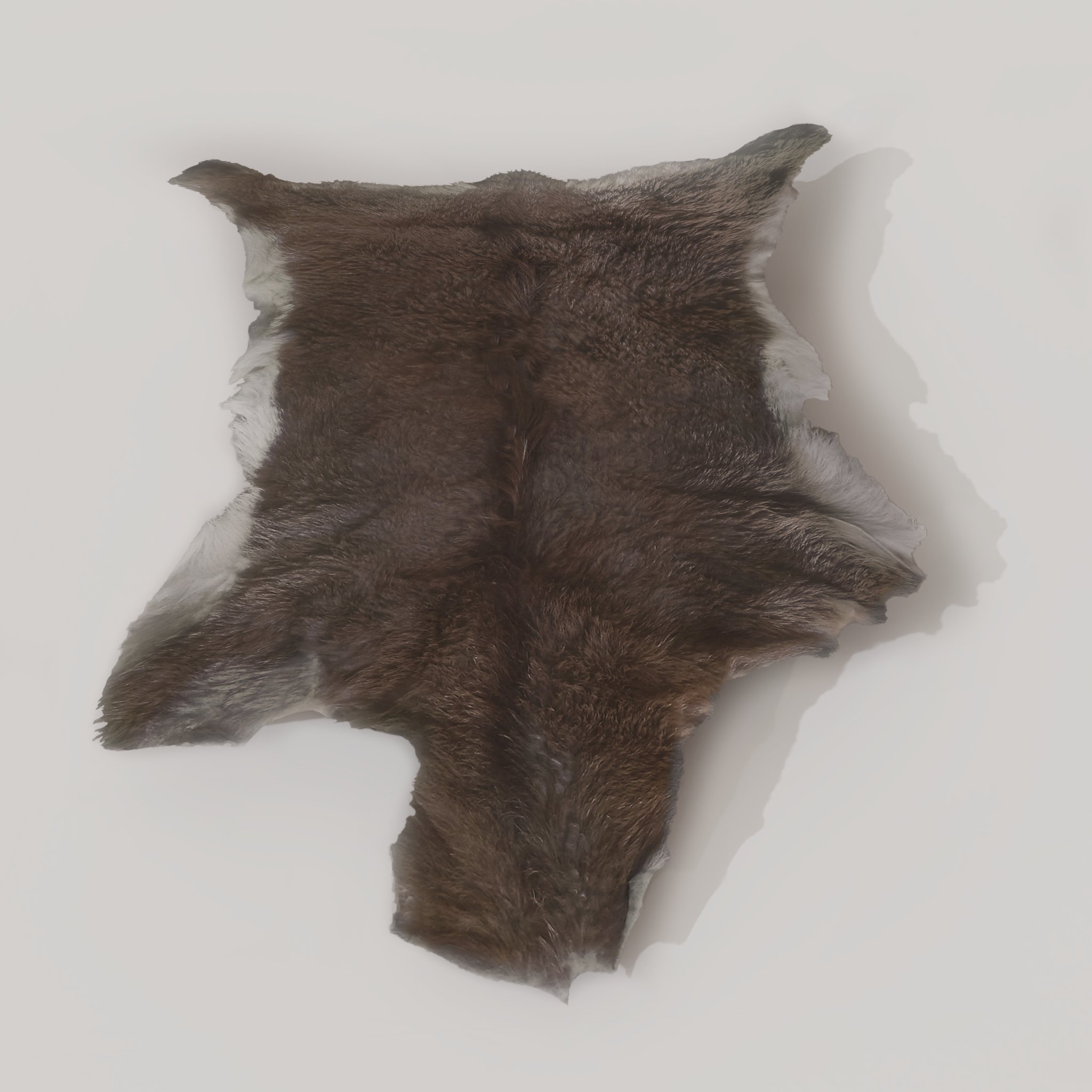 Deer pelt | Interior Design models | BlenderKit