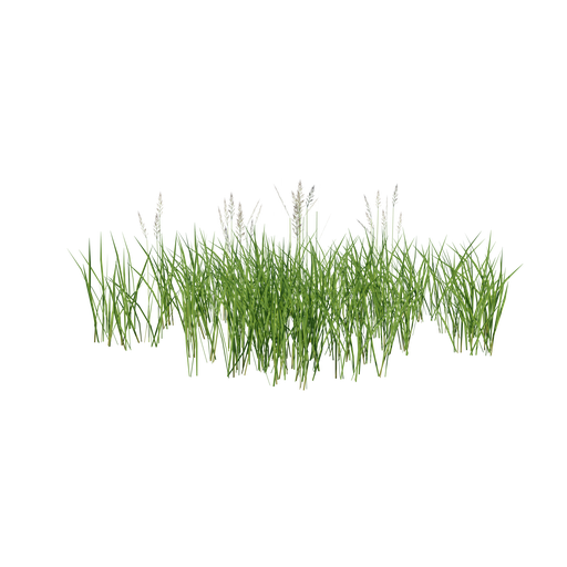 BlenderKit | Download the FREE Wild Grass Low Poly for Scatter model