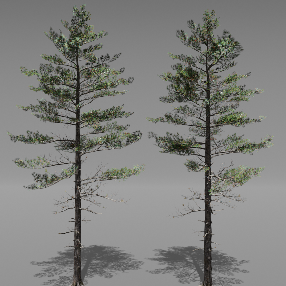 Cut log 04 - remeshed photoscan | FREE 3D Tree models | BlenderKit