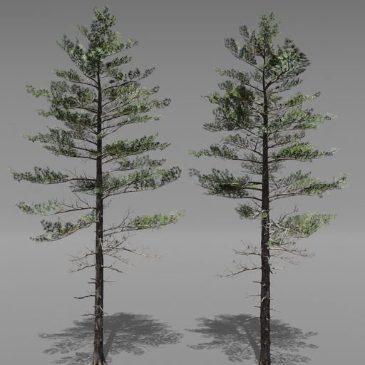 Cut log 04 - remeshed photoscan | FREE 3D Tree models | BlenderKit