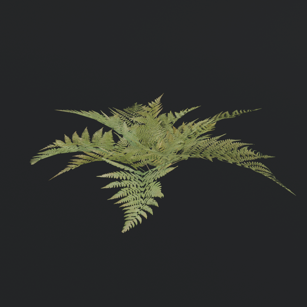 Bush Wild Fern c1 | Trees models | BlenderKit