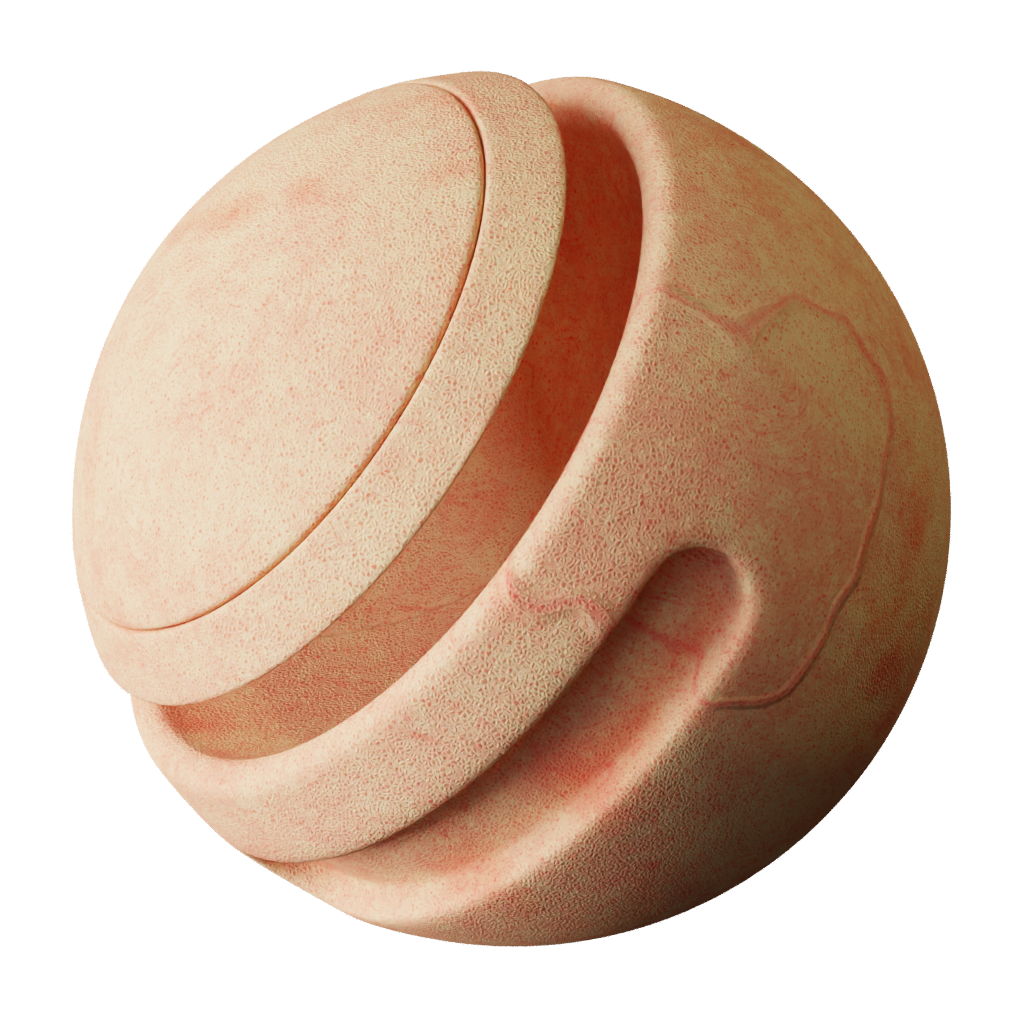 Skin | FREE human materials | BlenderKit