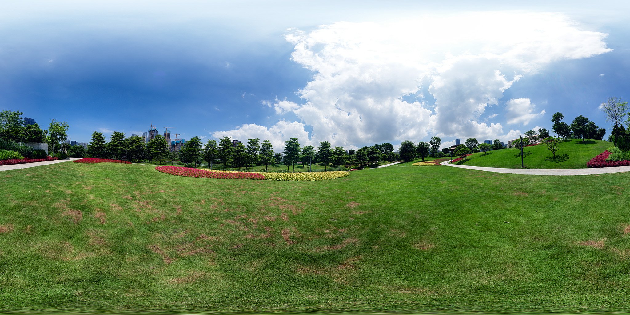 Daytime red flowers | Cityscapes HDRis | BlenderKit