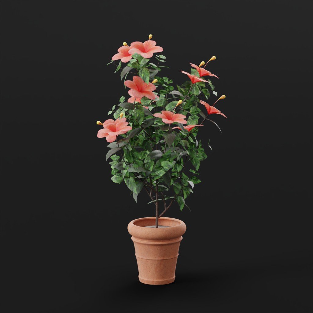 Pink Hibiscus | Outdoor Plants models | BlenderKit